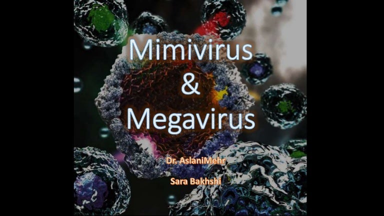 Virology - Mimivirus and Megavirus