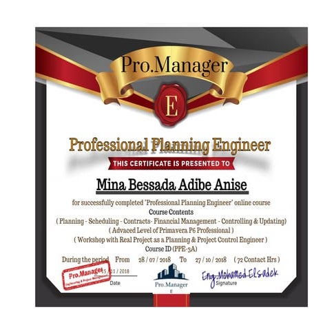 Professional Planning Engineer Mina Bessada Ppt 5037