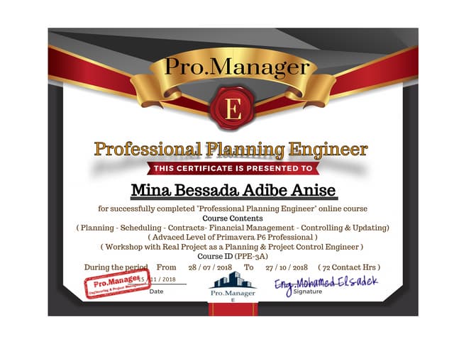 Professional Planning Engineer Mina Bessada Ppt 5037