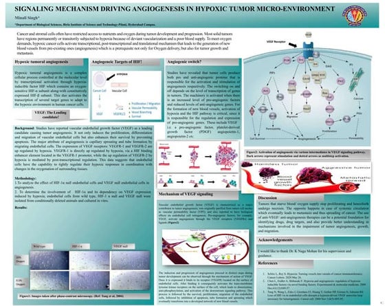 Angiogenesis of Cancer Cellvhhhvvvs.pptx