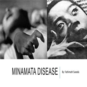 Minamata Disease Effects