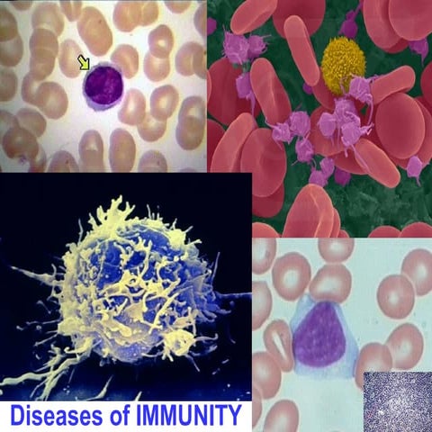 Minarcik robbins 2013_ch6-immune | PPT | Biological Sciences | Science