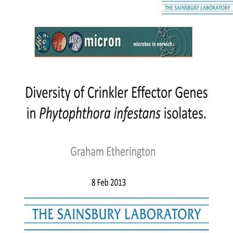 Diversity of Crinkler Effector Genes in Phytophthora infestans isolates ...