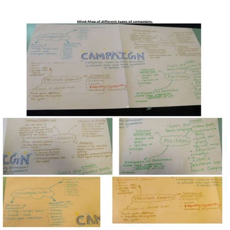 Mind map of different types of campaigns | PDF
