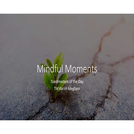 Mindful moments | PPT