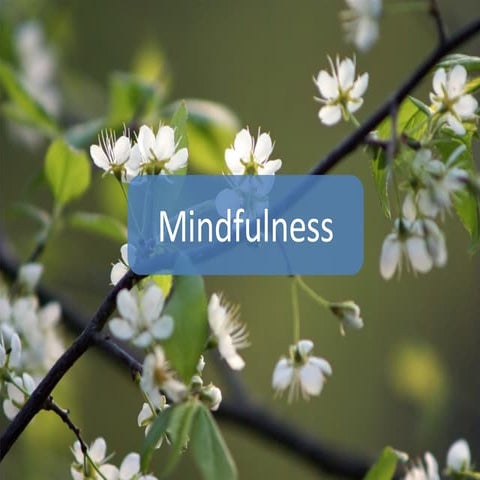 Mindfulness | PPT