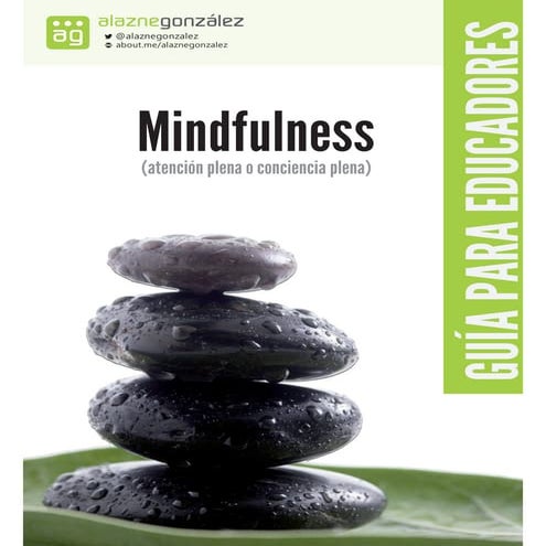Mindfulness guía para educadores | PDF