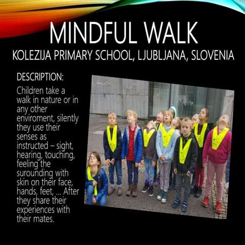 MINDFUL WALK | PPTX