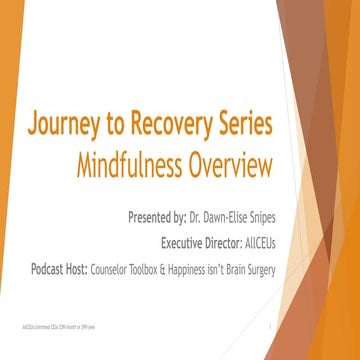 Mindfulness Overview | PPTX