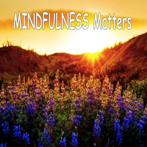 MINDFULNESS Matters | PPT