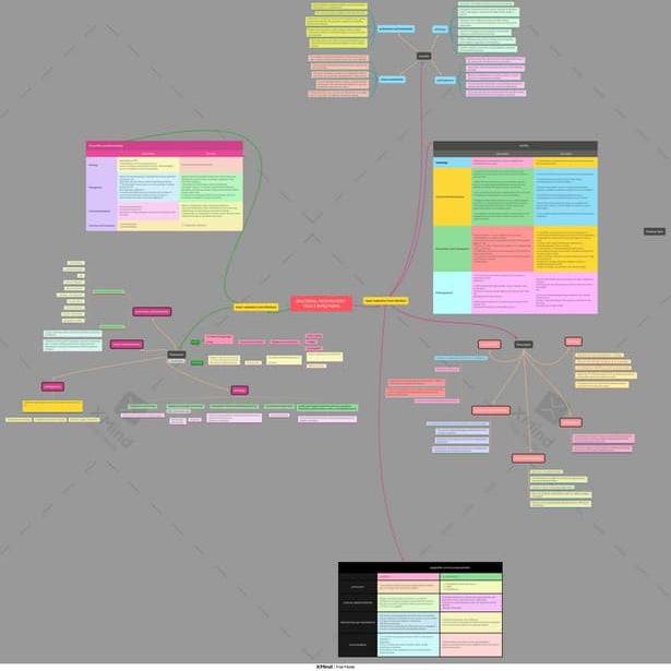 Mind map bacterial respiratory tract infections (group g) | PDF