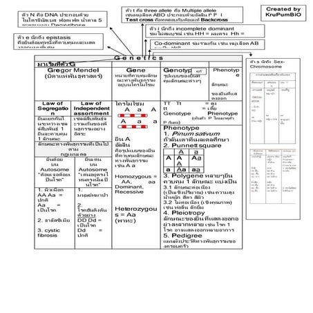 Mind mapping genetics | DOCX