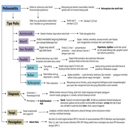 Mind Map Poliomielitis aaa bbb ccc dddddd | PPTX