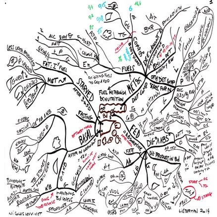 Mind maps biochemistry fuel metabolism and nutrition | PDF