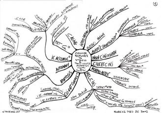 Mind maps pathology skin | PPT
