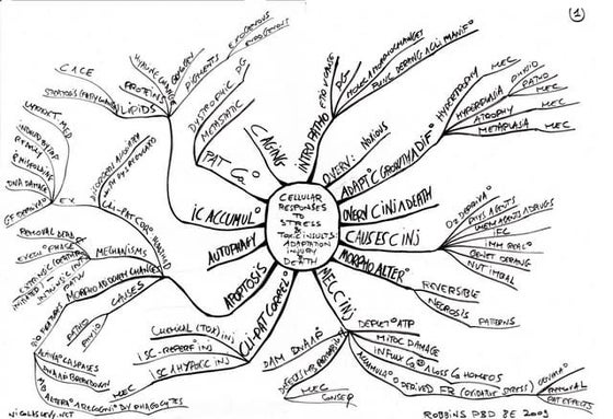 Mind maps pathology skin | PDF