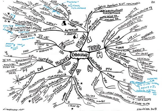 Mind maps pathology skin | PDF