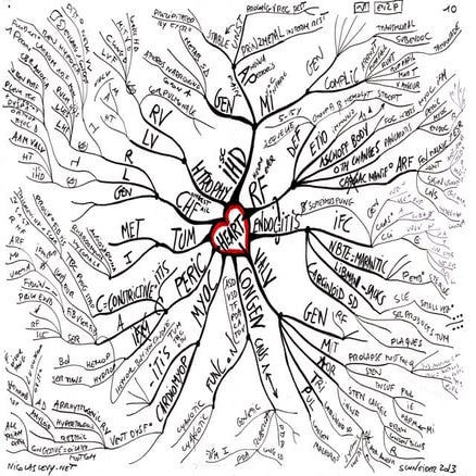 Mind maps pathology_heart | PDF