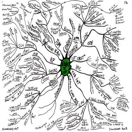 Mind maps pathology kidney and urinary tract | PPT