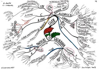 Mind maps pathology skin | PPT