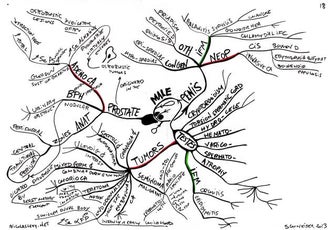 Mind maps pathology skin | PPT