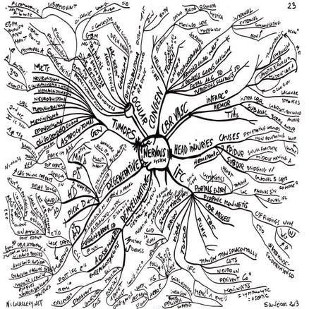 Mind maps pathology nervous system | PDF | Brain and Nervous System ...