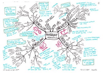 Mind maps pathology skin | PPT