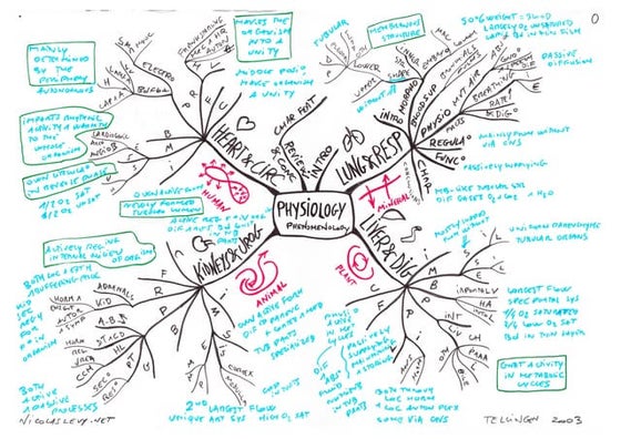 Mind Maps Pathology Skin Ppt
