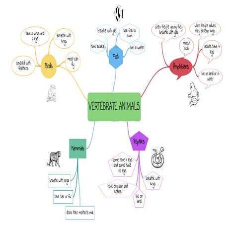 Mindmap unit 1. animals | PDF