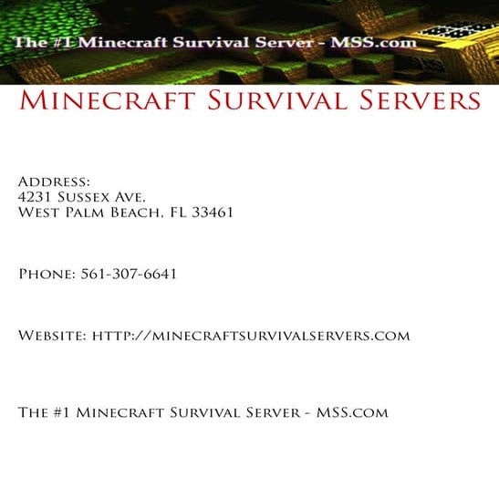 Minecraft survival servers | PDF