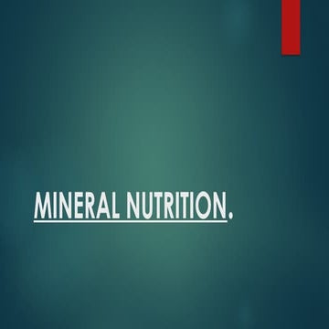 MINERAL-NUTRITION-12.pptx NCERT BOOK RELATED | PPTX