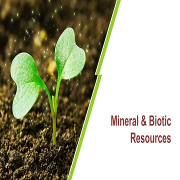 Mineral and Biotic resources | PPTX
