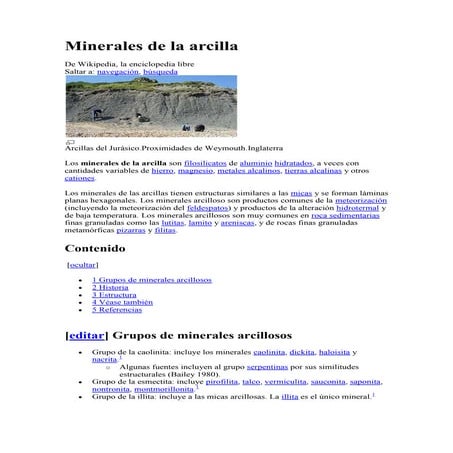 Minerales de la arcilla | DOCX