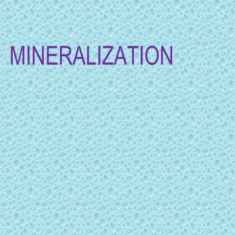 mineralization.ppt