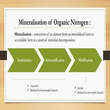 Nitrogen cycle