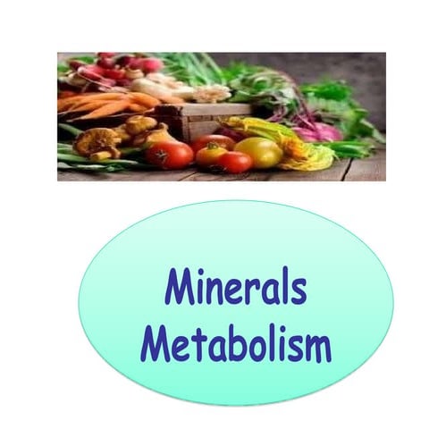 Mineral metabolism in human and health.pptx