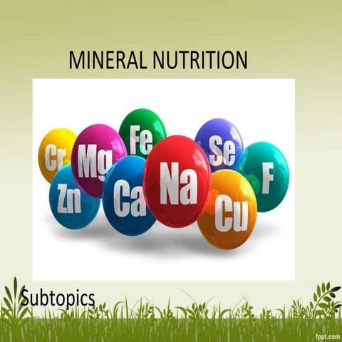 mineralnutrition 2.docx
