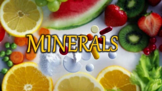 Functions and Food Sources of Minerals | PPT