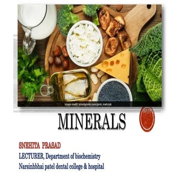 Minerals Calcium | PPTX