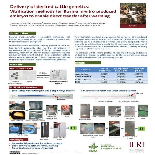 Delivery of desired cattle genetics: Vitrification methods for Bovine ...