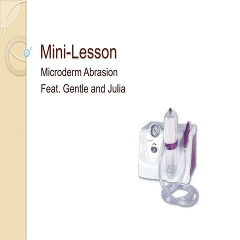 Mini Lesson | PPT