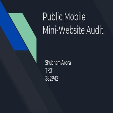 Mini website audit | PPT
