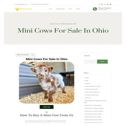 Mini Cows For Sale In Ohio | ORDER NOW | PDF