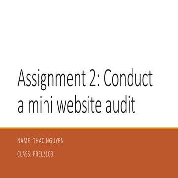 Mini audit | PPTX