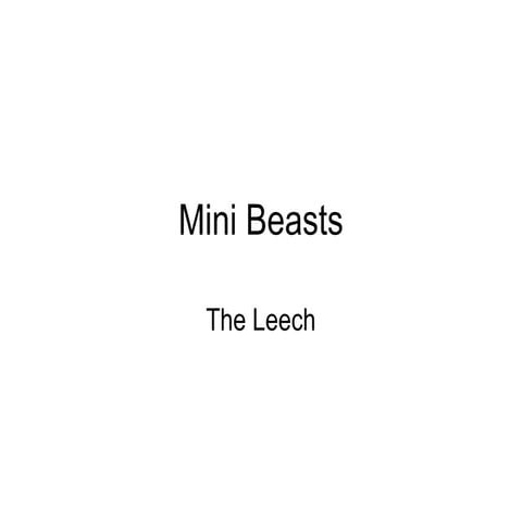 Mini beast | PPT