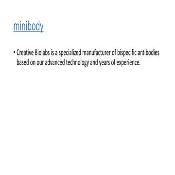 Minibody | PPTX