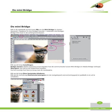 Minibridge | PDF