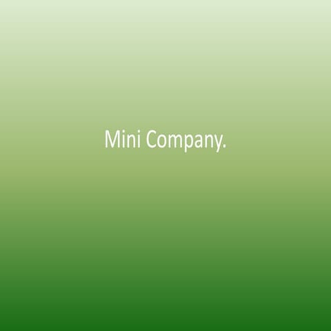 Mini company | PPTX