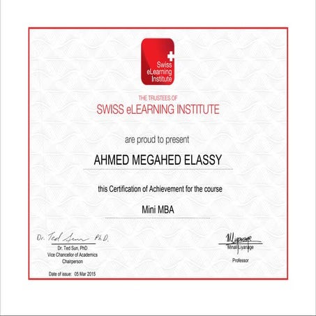 Mini MBA certificate | PDF