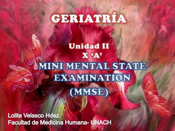 Mini-Mental State Examination | PDF | Brain and Nervous System ...